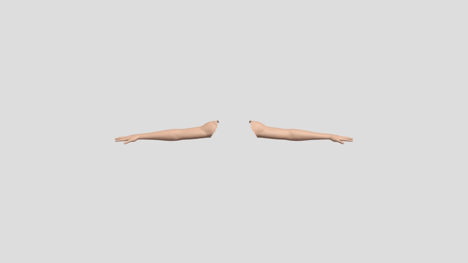 Arms with hands - 3D model by reconpeanut [b2bec2e] - Sketchfab