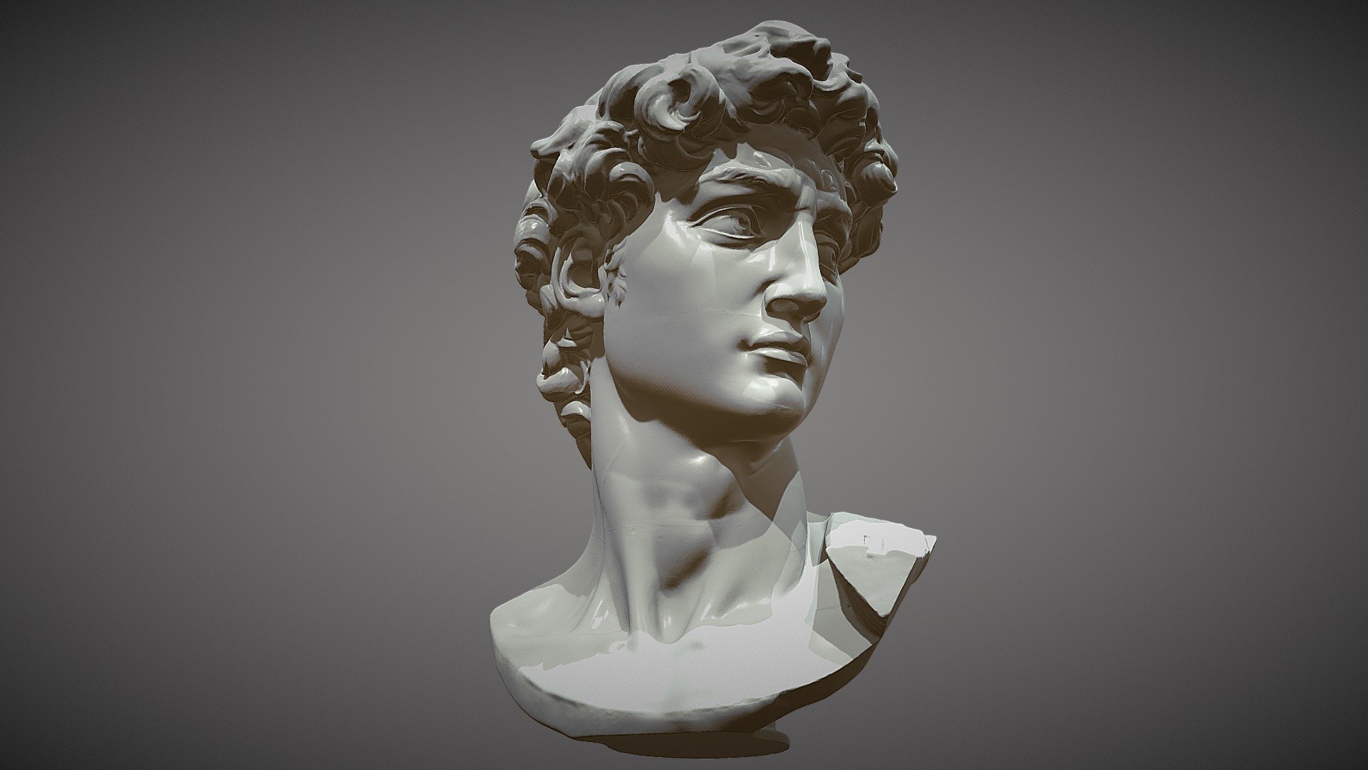 Michelangelo - Head of David(1501–1504) - 3D model by qaz (@776g ...