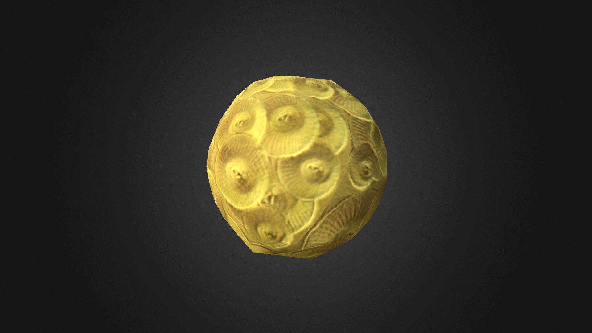 Coccolithus Кокколитофорида Haptophyta - 3D model by iTechnol [b2d7944 ...