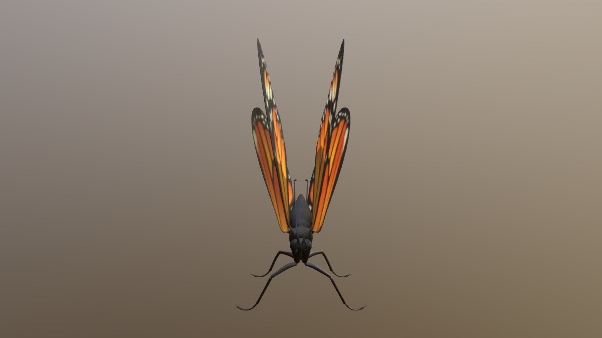 Mariposa 210119 - 3D model by ferchocoral [b2d8d10] - Sketchfab