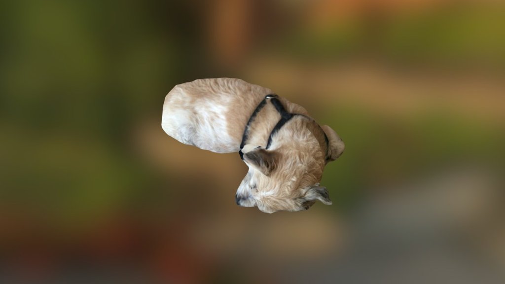 Nora - 3D model by carroblanco [b2dd63b] - Sketchfab