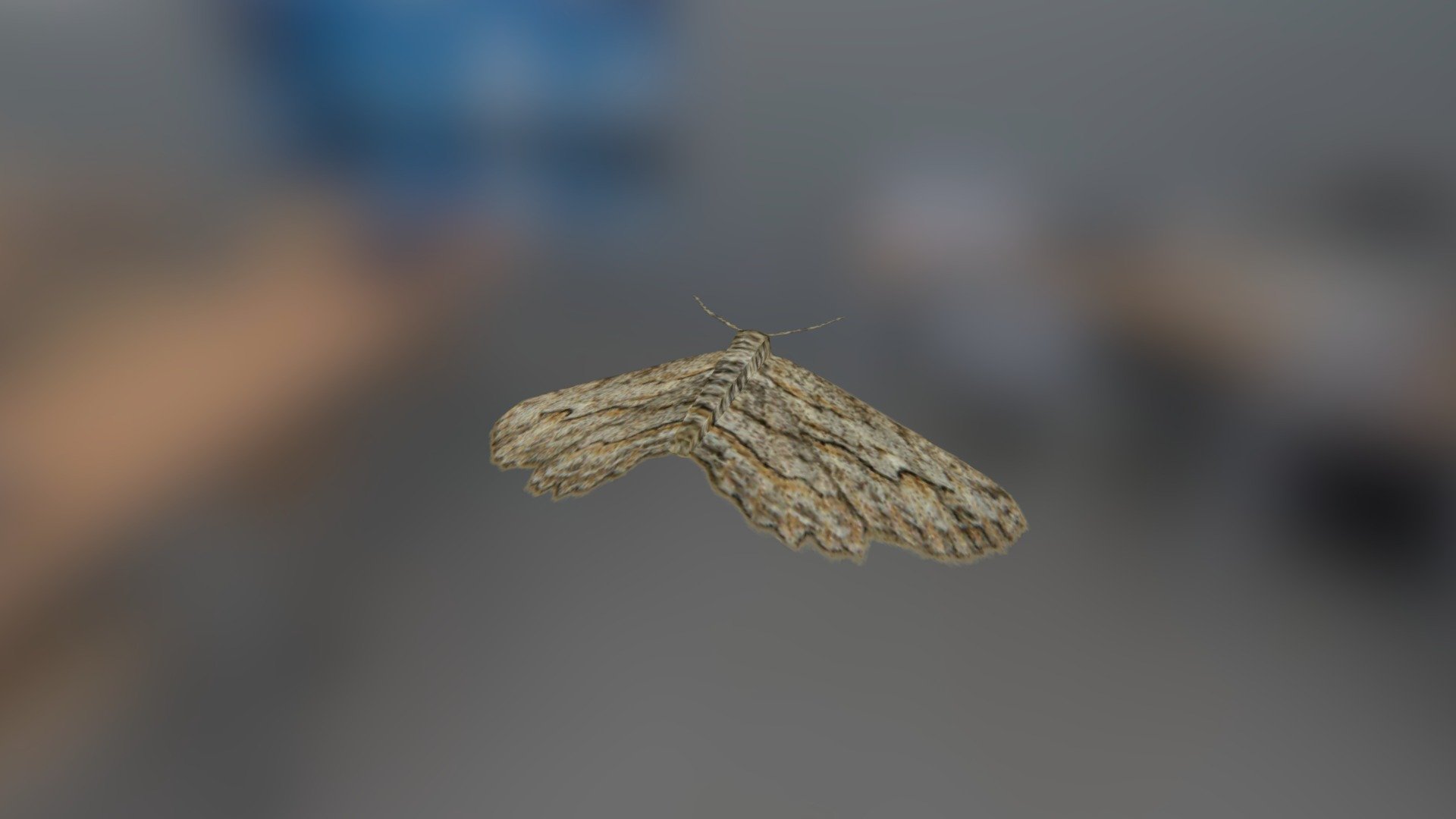 Moth - Download Free 3D model by JanoschR [b2efdbe] - Sketchfab