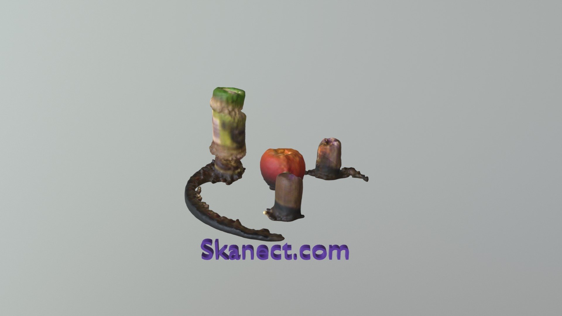 New Skanect Model - 3D model by srnattrass [b2f1bb6] - Sketchfab