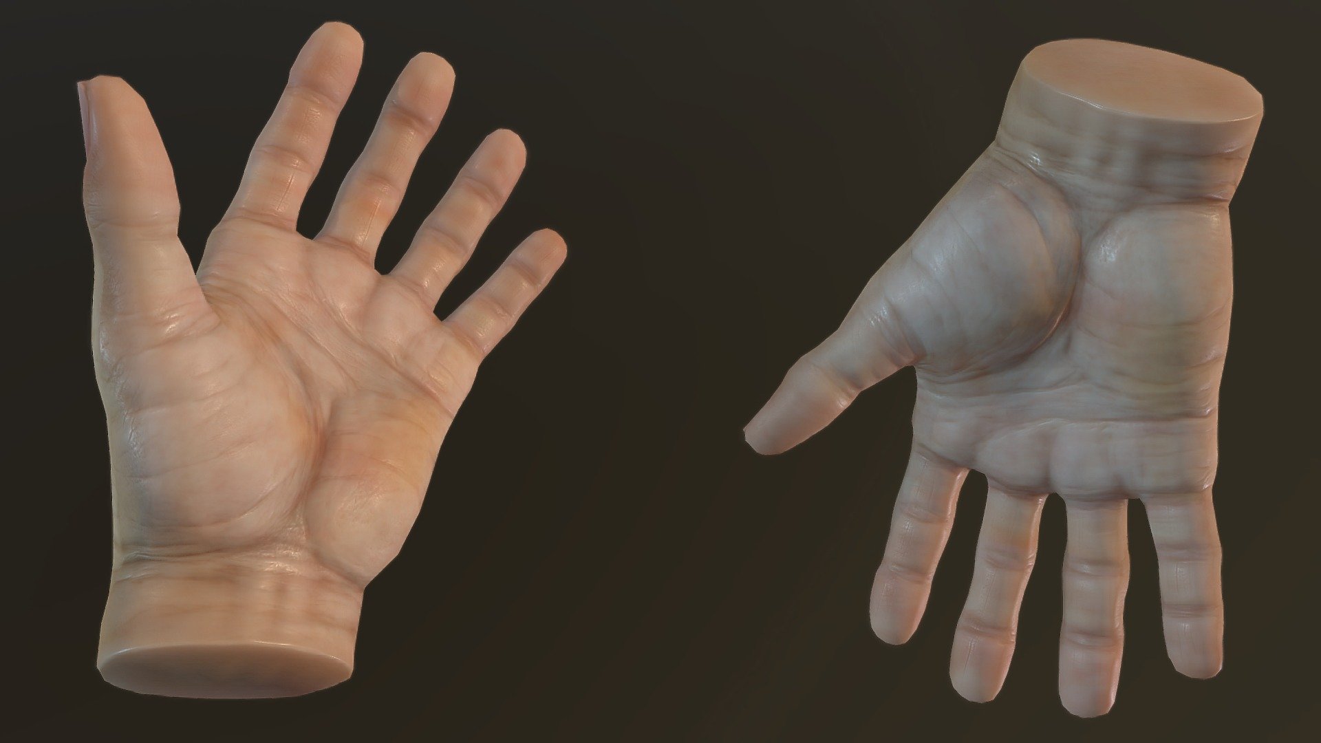 Hands - 3D model by Lekalo (@lekaloable) [b2fa631] - Sketchfab