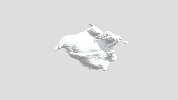 Left_atrium 3D models - Sketchfab