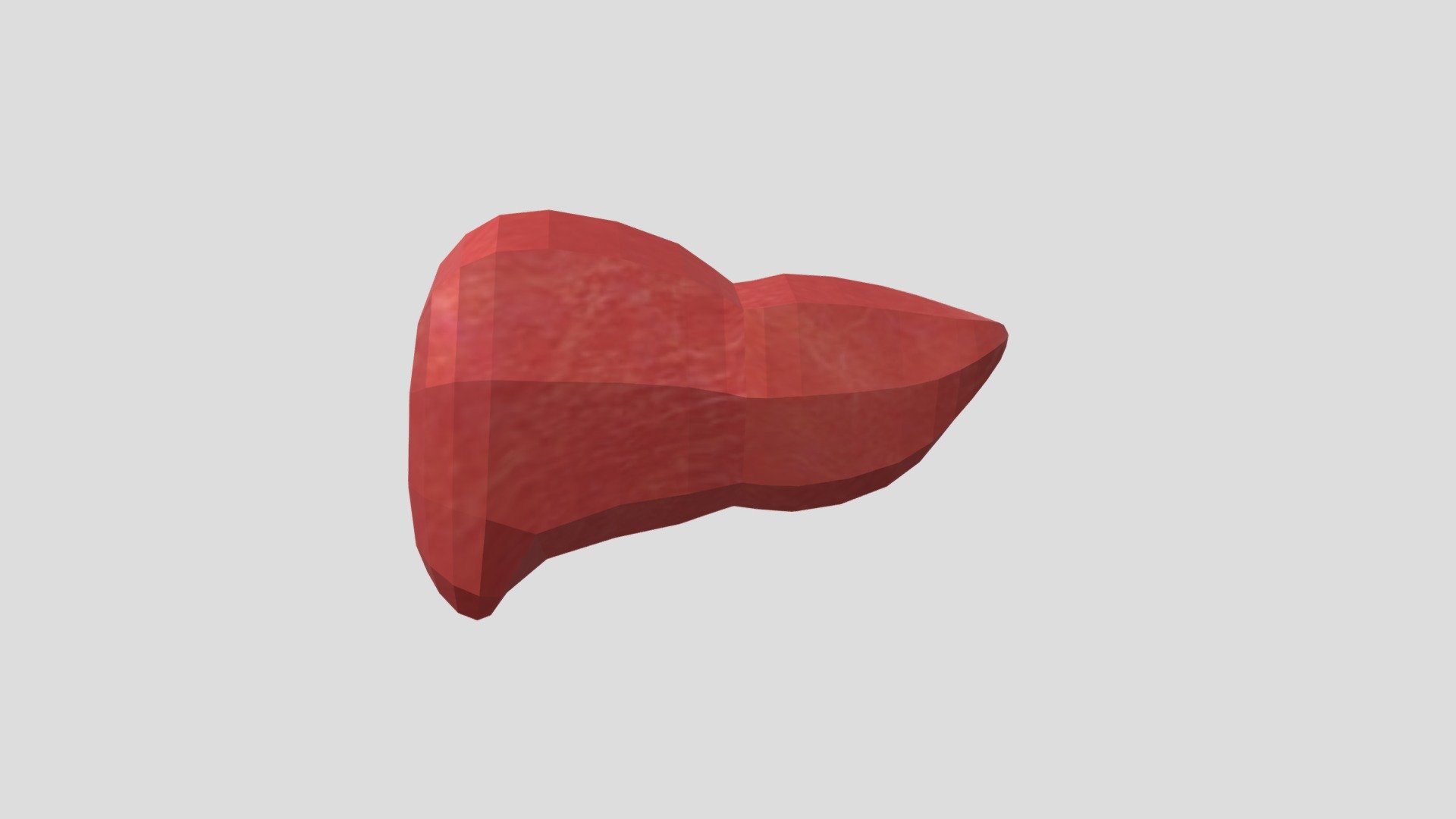 FETGE NORMAL - copia - 3D model by 123456789 (@12345678GEDS) [b310047 ...