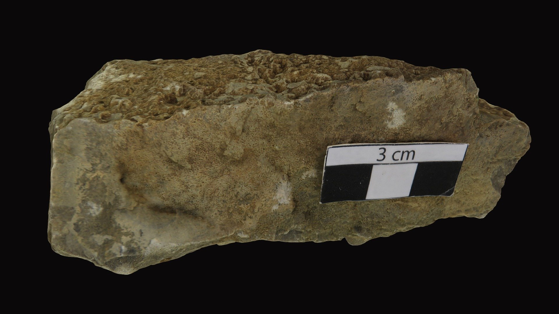 Oolitic limestone, Italy - Download Free 3D model by Sara Carena ...