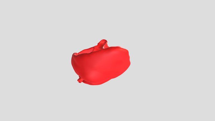 Bidirectionalglenn 3d Models Sketchfab