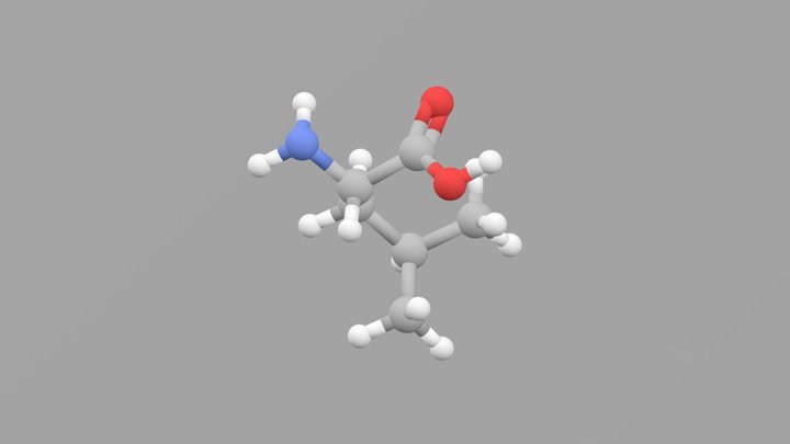Leucine 3D models - Sketchfab