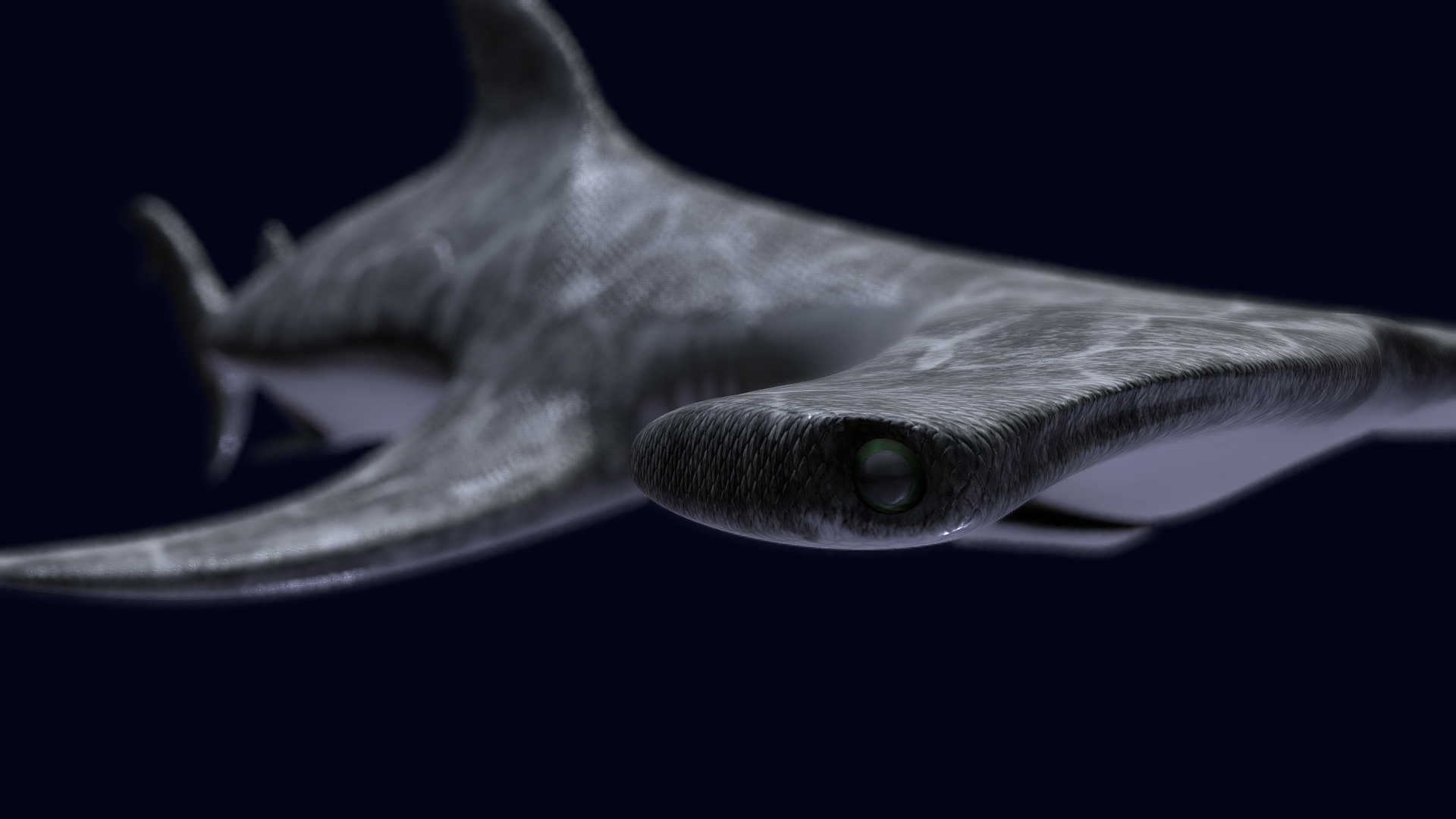Hammerhead - 3D model by Jane Doe (@Laura.kaufmann12345) [b32f7d9 ...