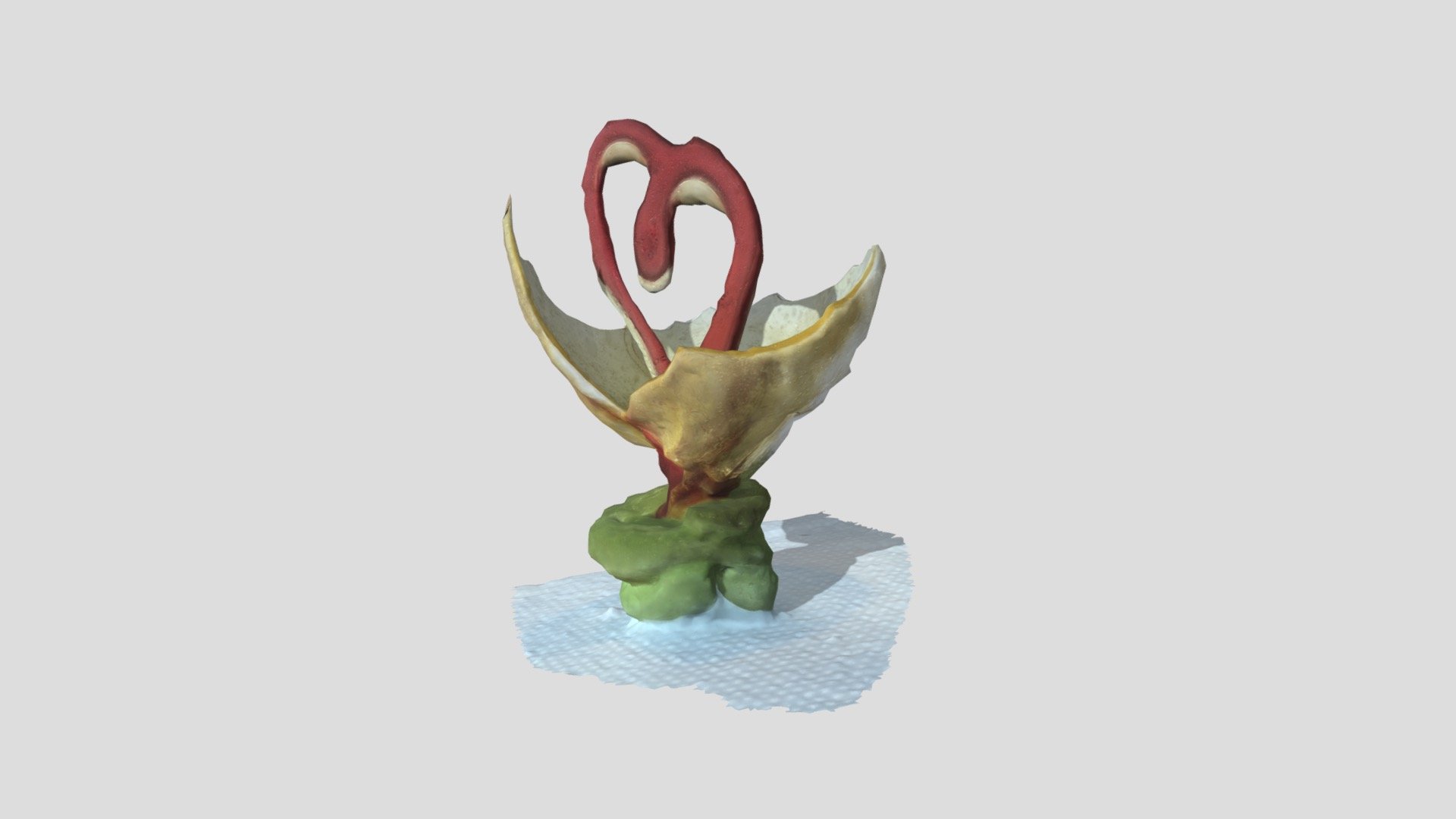 Douce Idee by MicroM Photogrammetry - Download Free 3D model by RUgeek ...