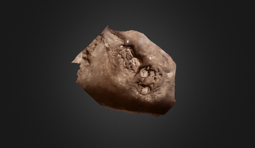 Santo Sep 34 Exp 7 Sep 37 Exp 3 - 3D model by strauss [b337b73] - Sketchfab