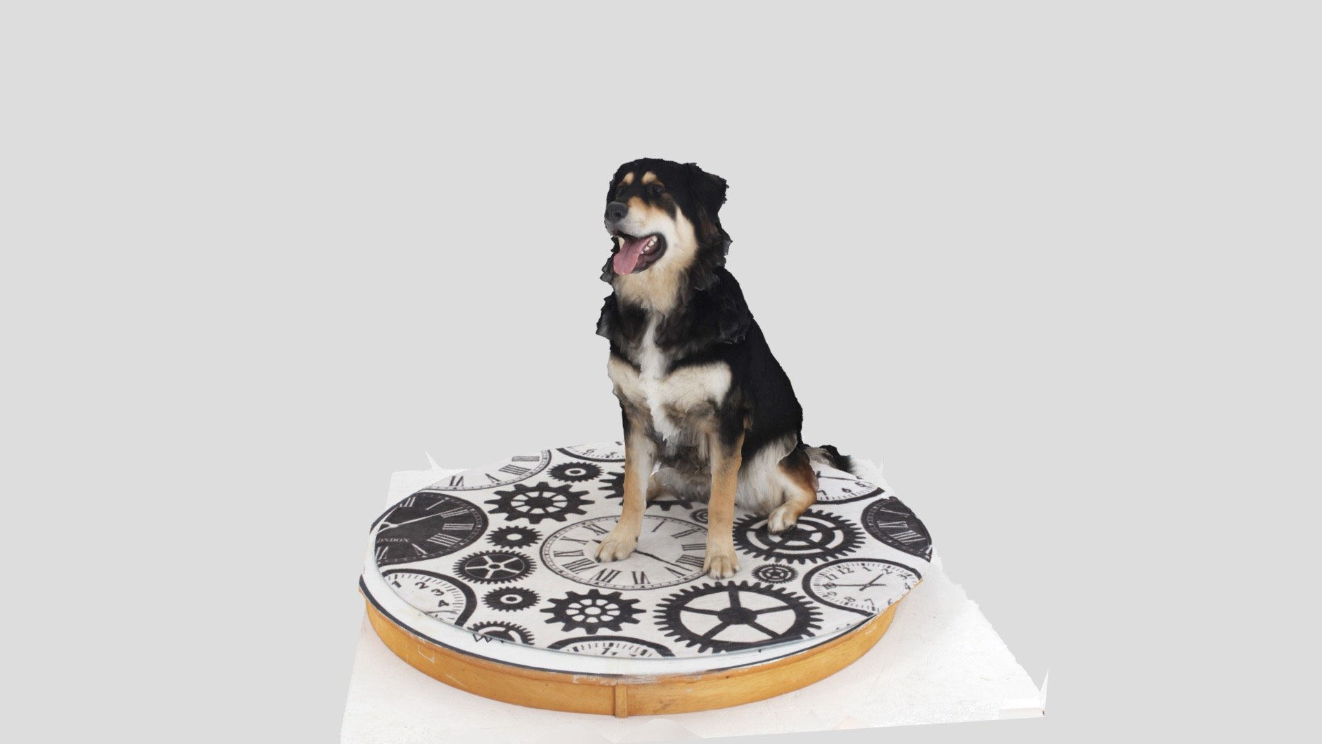 221122 Rolo 15 - 3D model by GravityB [b33b745] - Sketchfab