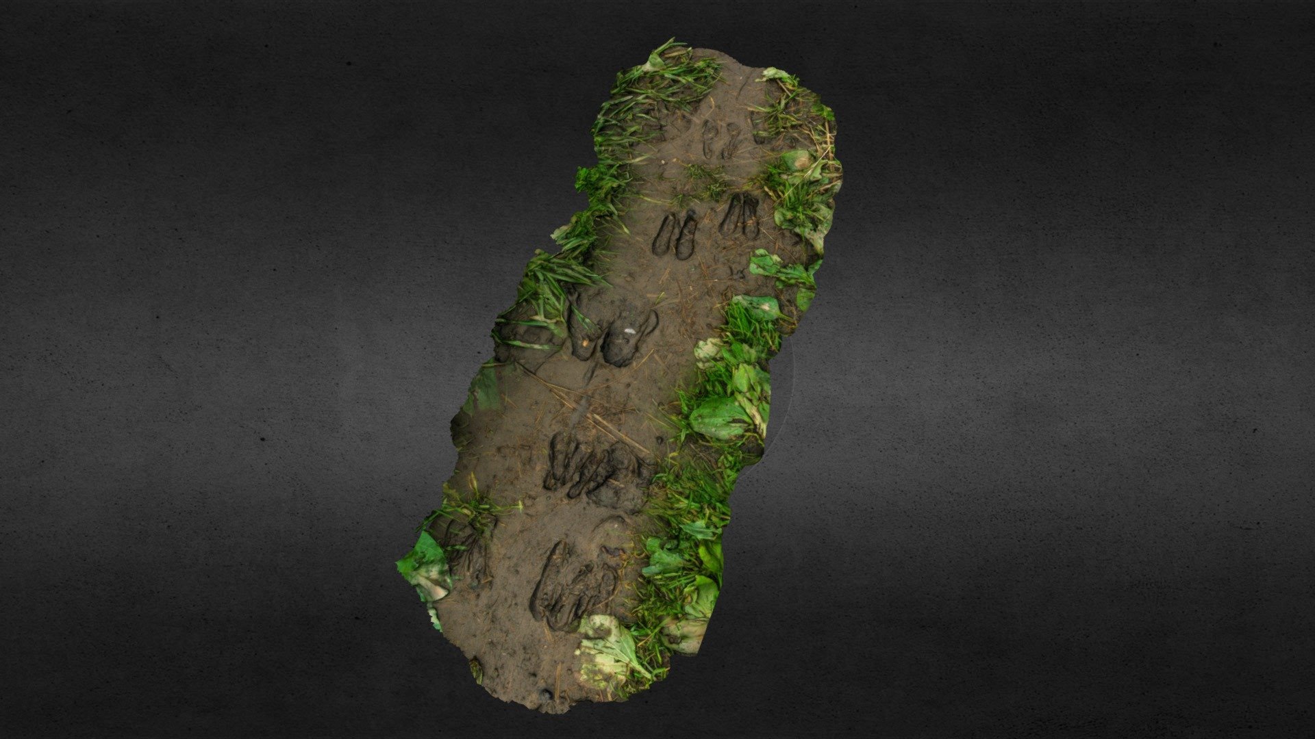 Sheep tracks - 3D model by SenYul [b34074e] - Sketchfab
