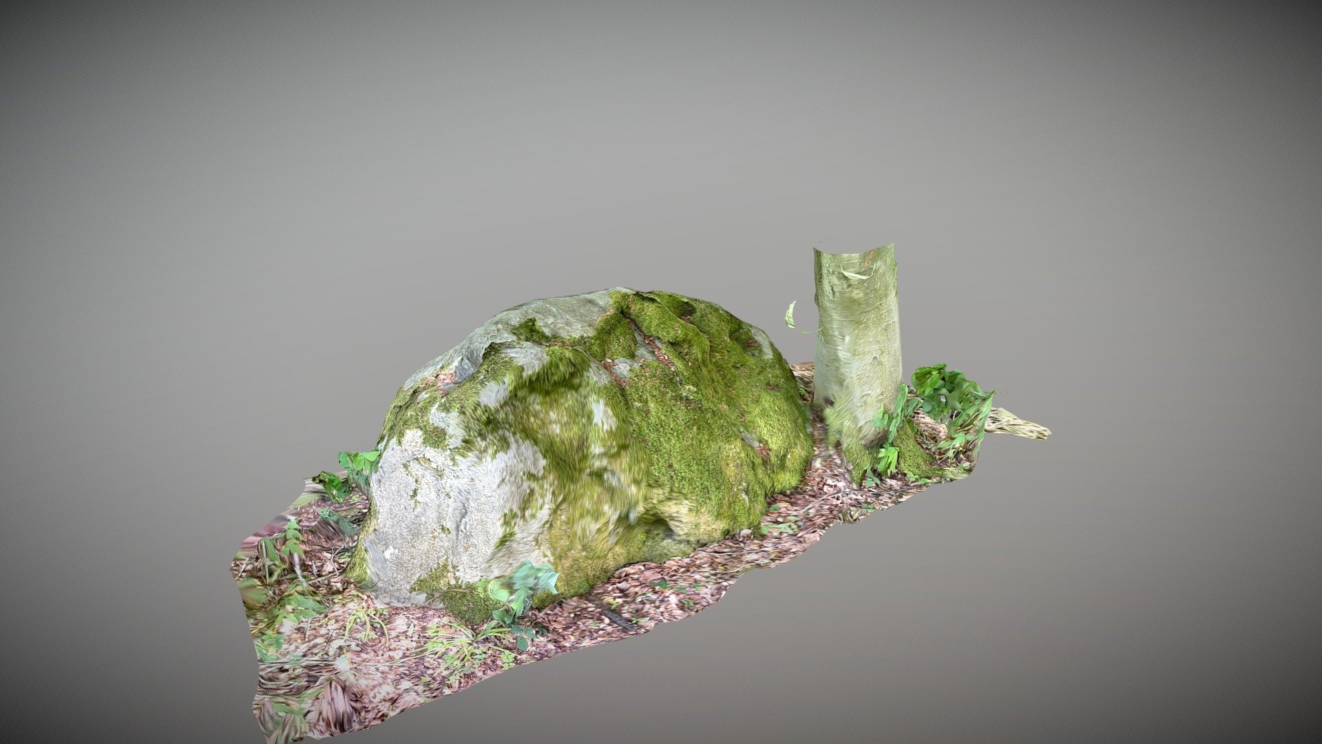 West Woods Standing Sarsen Stone - Download Free 3D model by Forestry ...
