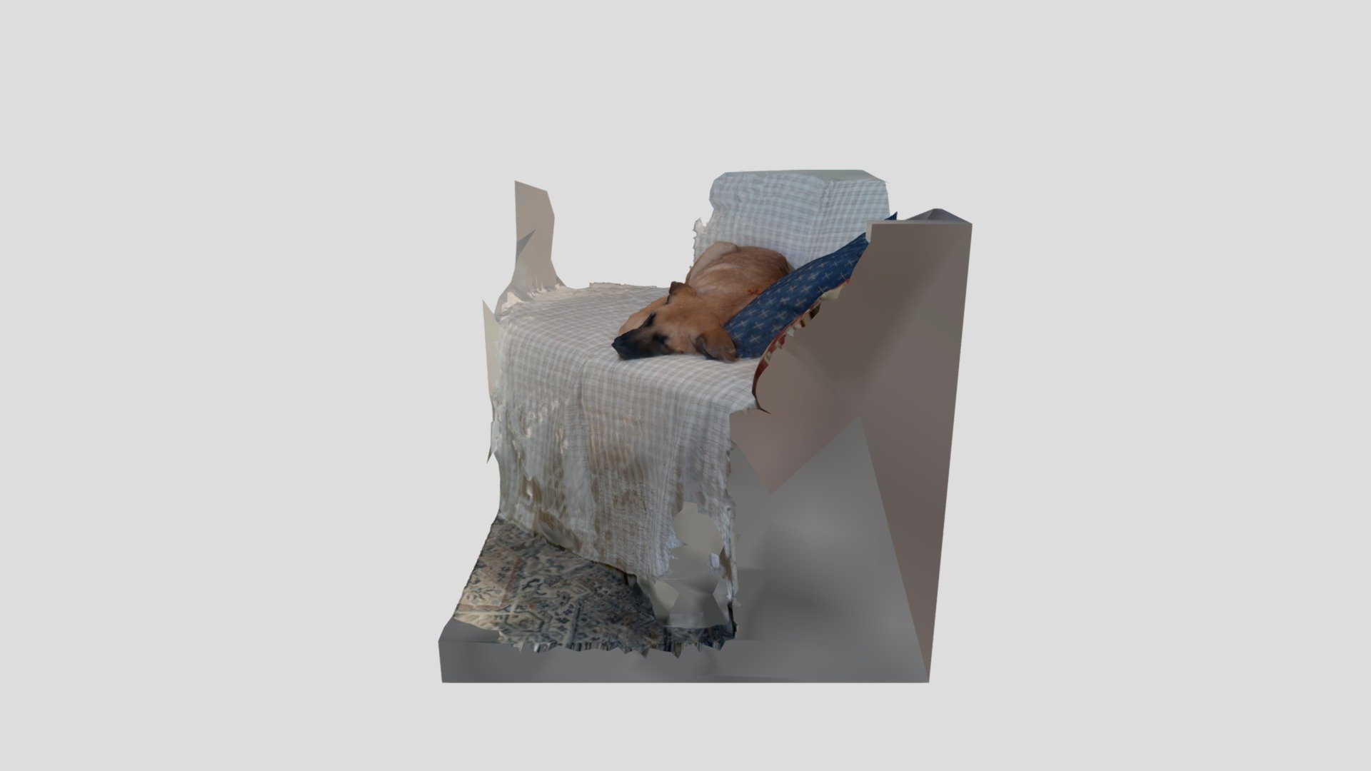 Tucker - 3D model by kaitlinbhoward [b348f8c] - Sketchfab