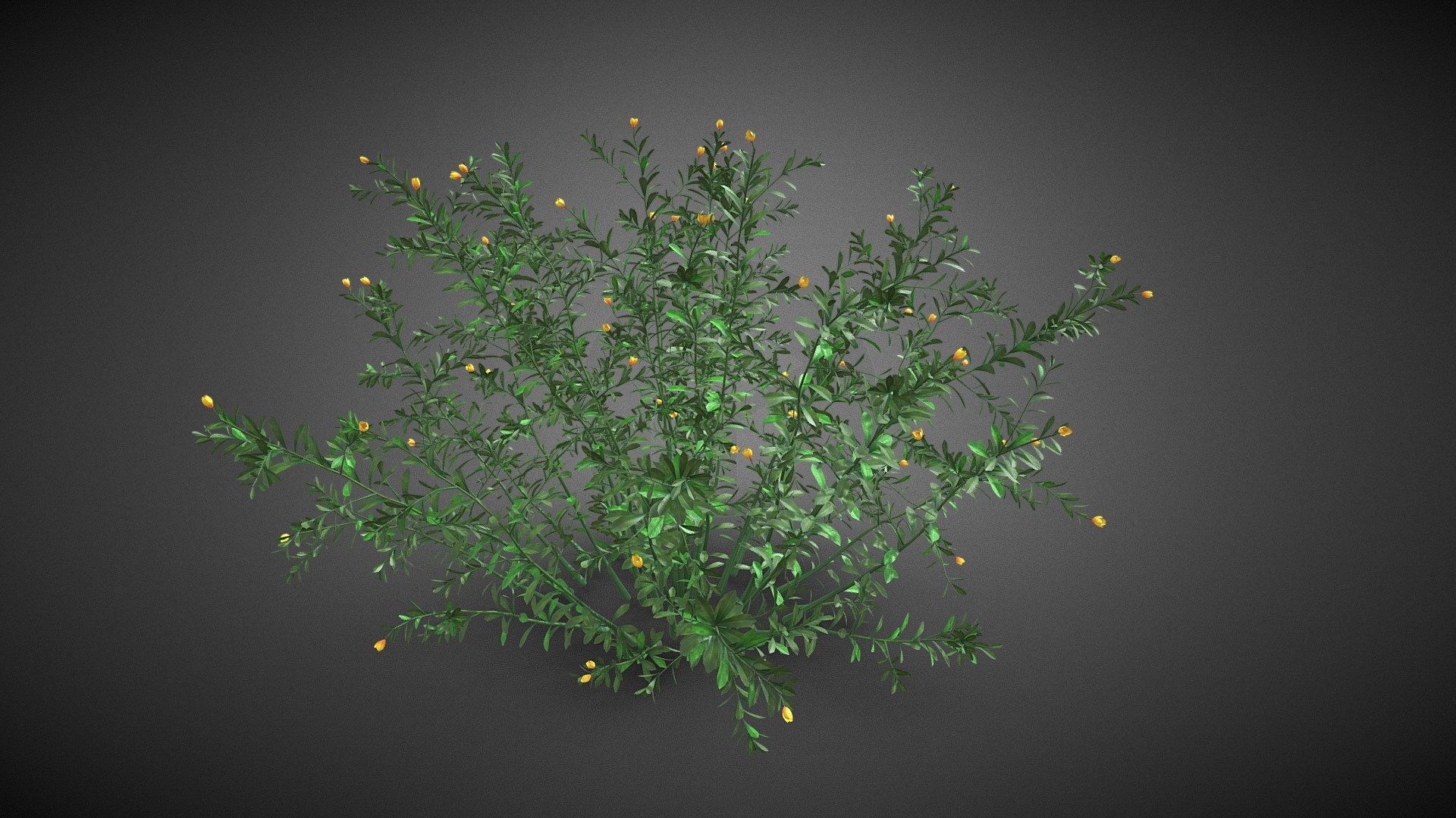 Shrub tree - Buy Royalty Free 3D model by misitewang [b34e524 ...