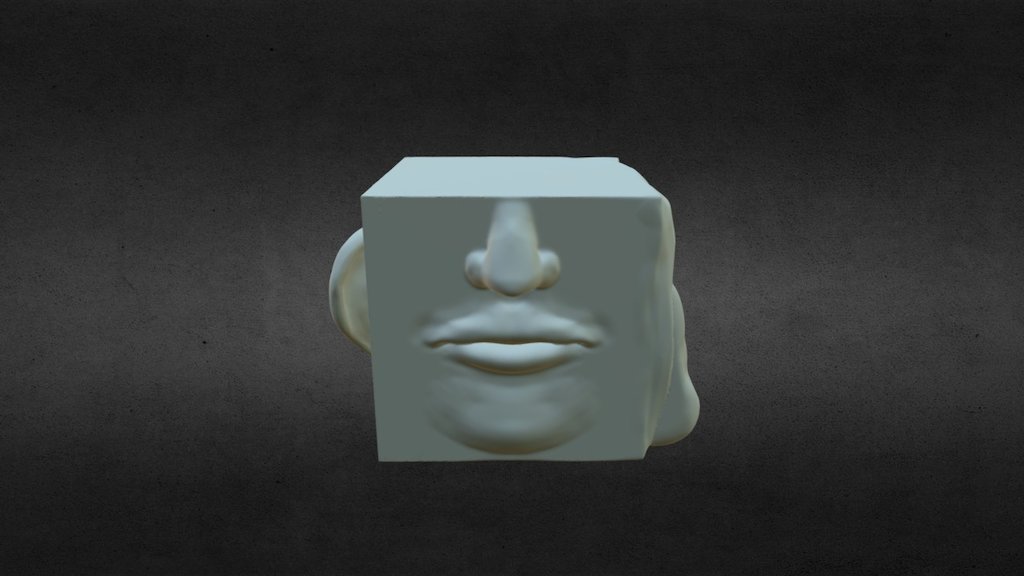 Facial Features - 3D model by tfarrstudent [b36b64a] - Sketchfab