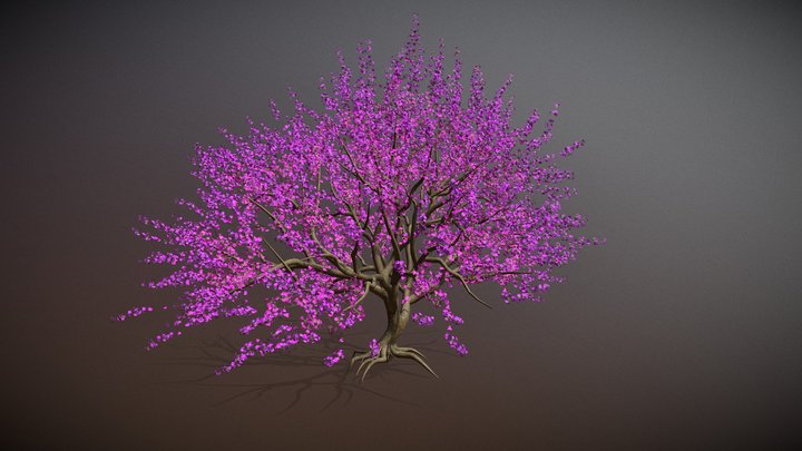 Cherrytree 3D models - Sketchfab