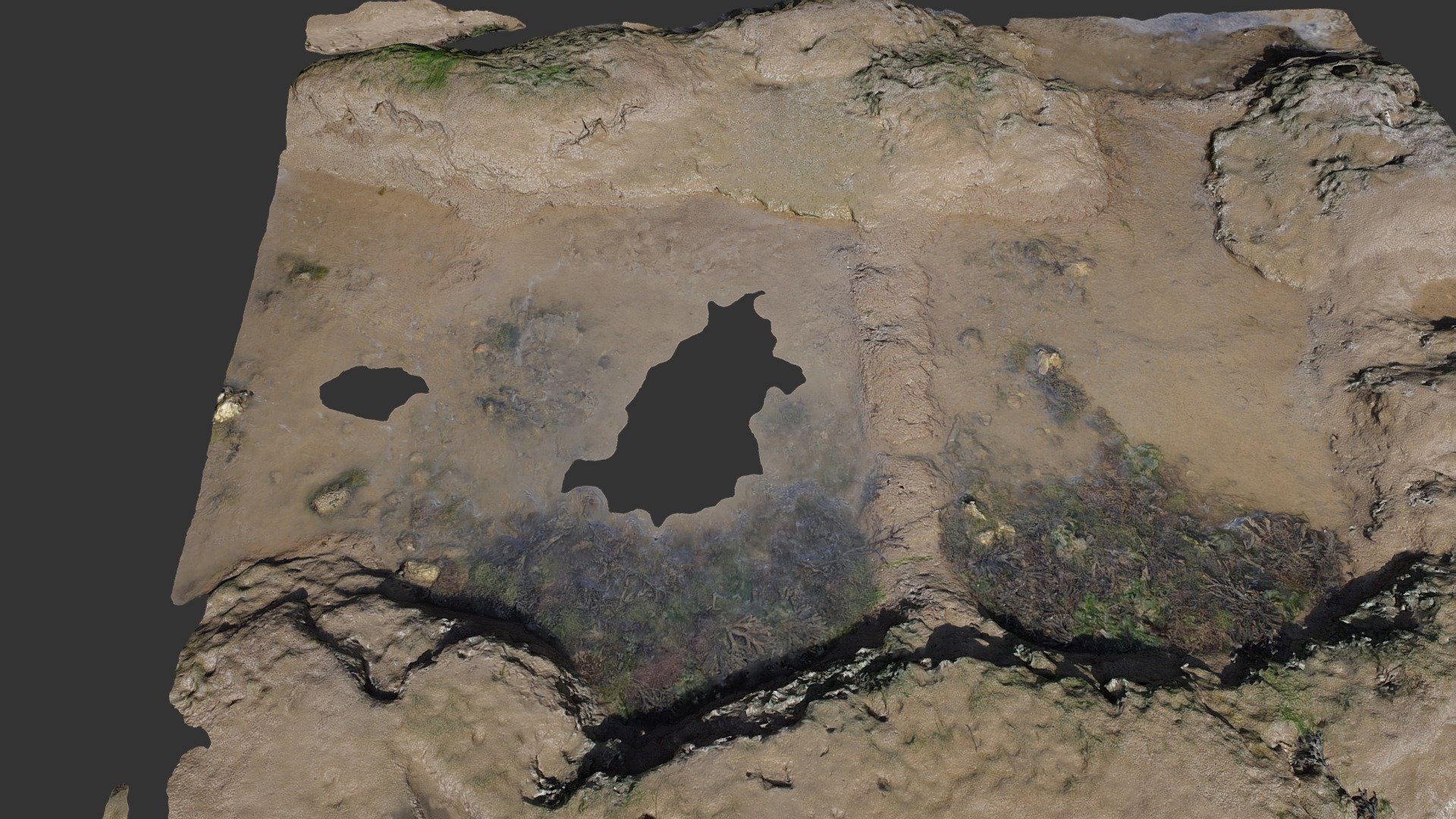 Intertidal Pits - 3D model by Jim..... [b3742fc] - Sketchfab