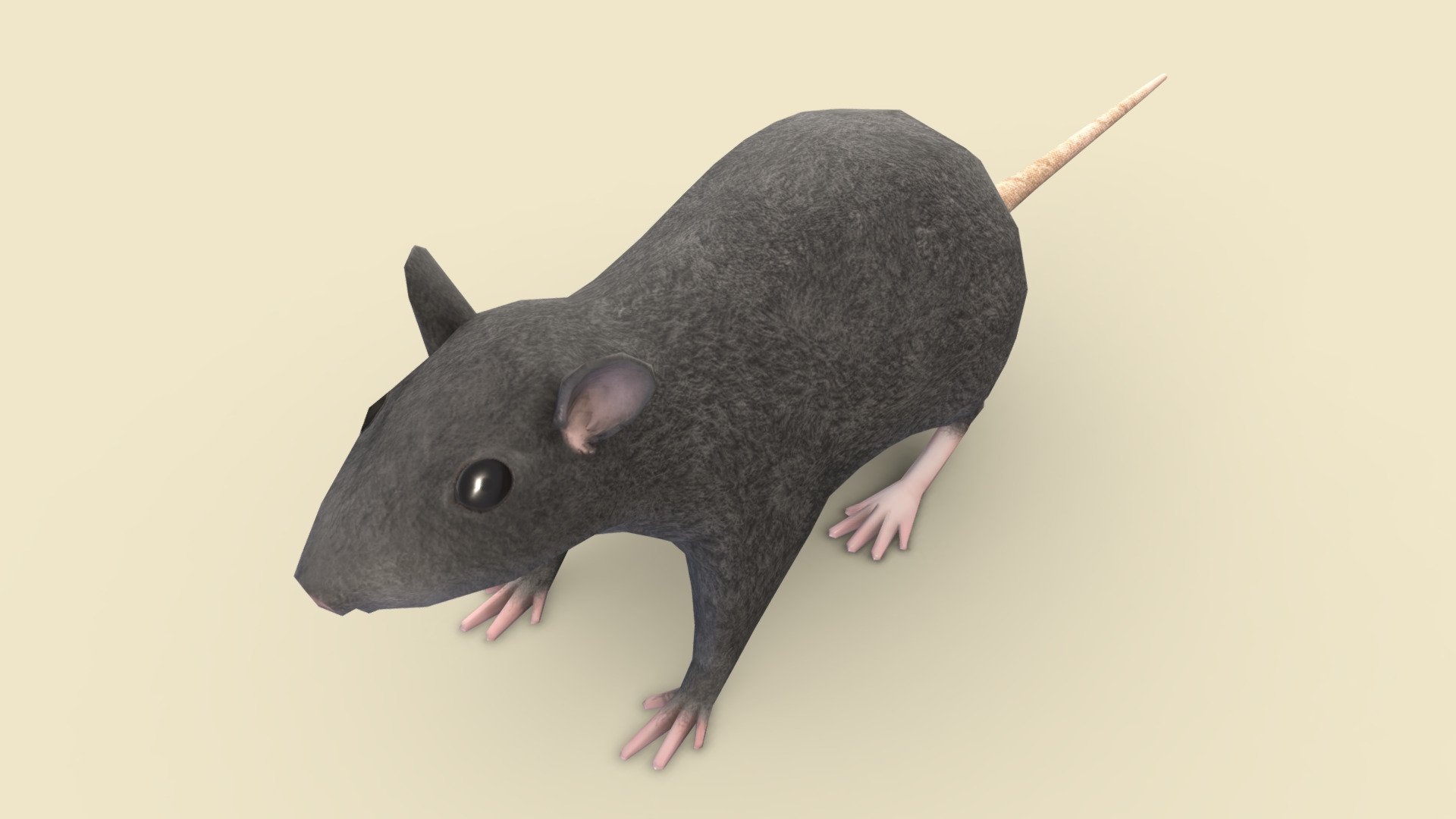 Mr. Rat - 3D model by Gurkha [b380935] - Sketchfab