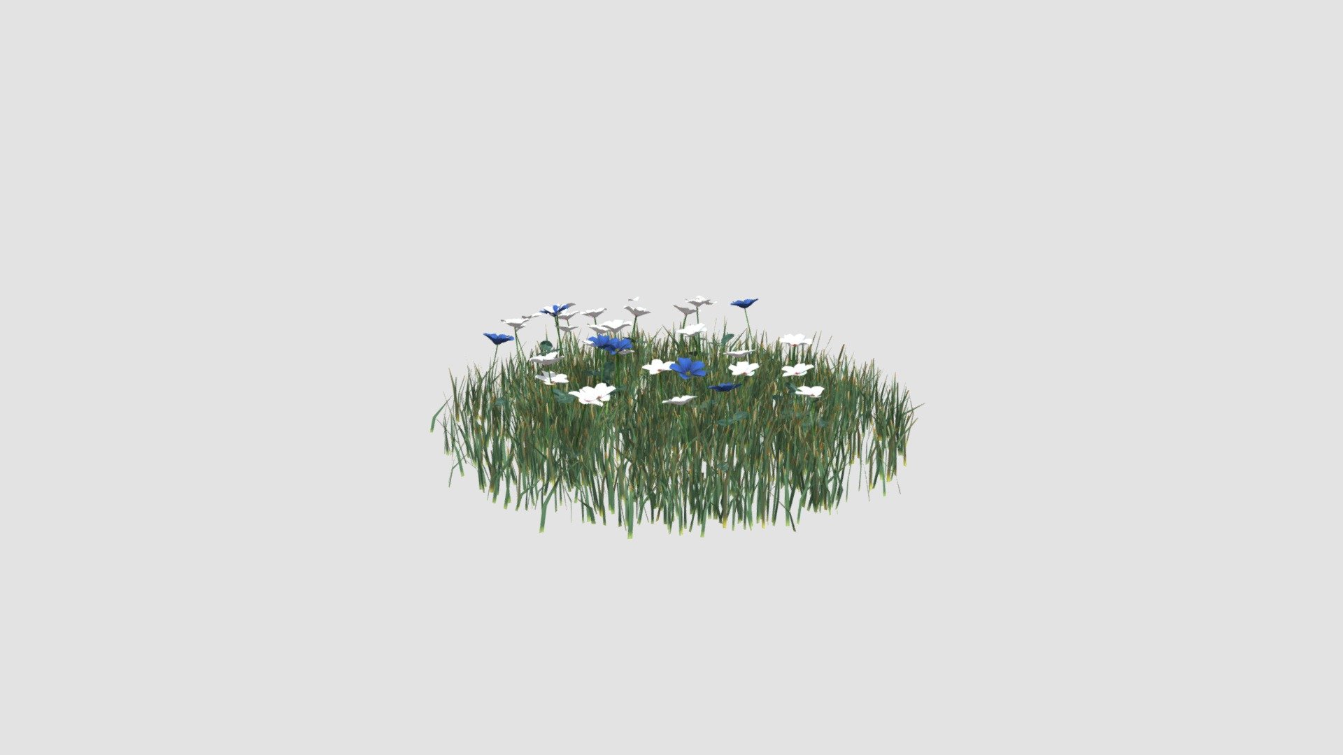 simple grass medium - Buy Royalty Free 3D model by Evermotion [b382cf0 ...
