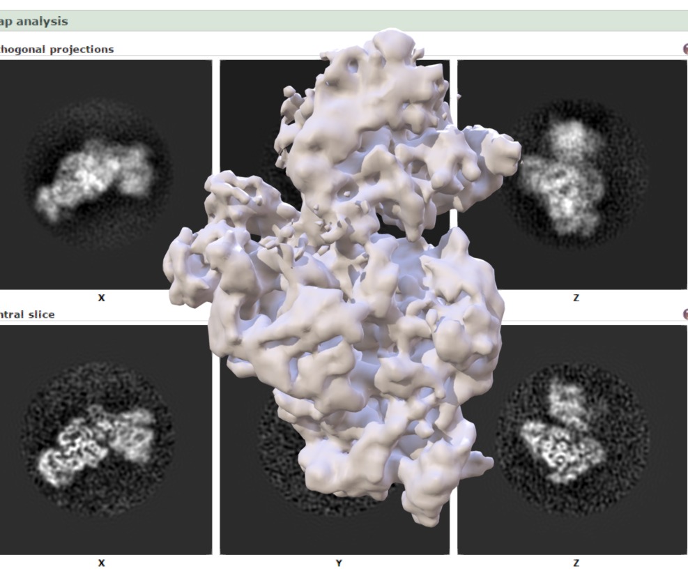 EMDB › EMD-8457 - 3D model by Interactive 3D Data (@proteinsimulation ...