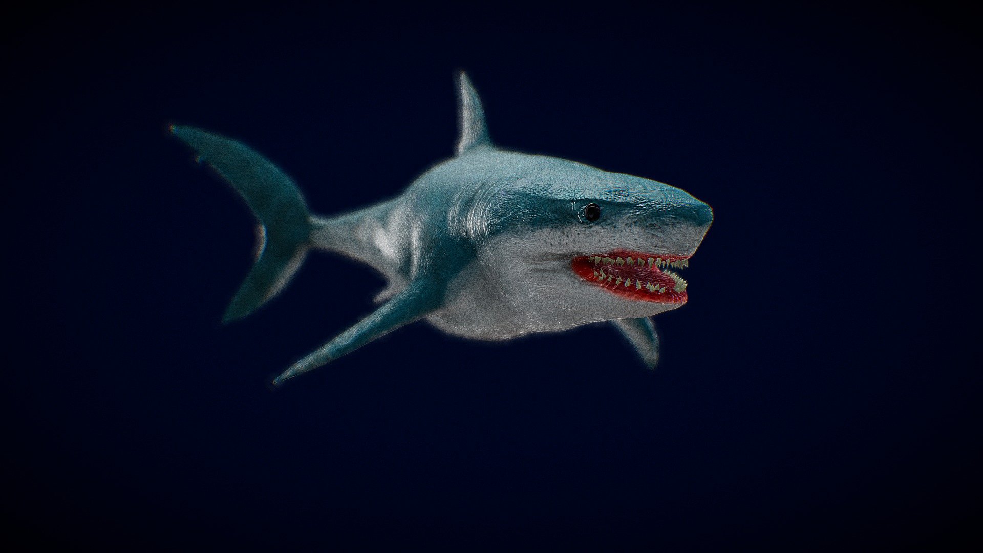 shark fish megalodon - Download Free 3D model by Paleo Modelist ...