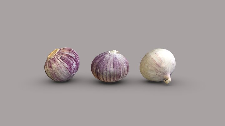 Solo-garlic 3D models - Sketchfab