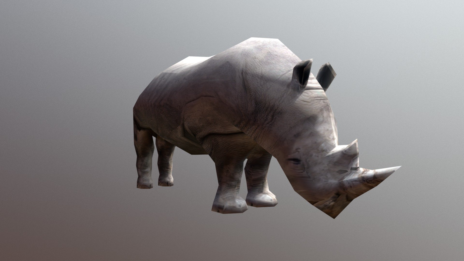 Rhino - 3D model by Shorty5600 [b39f671] - Sketchfab