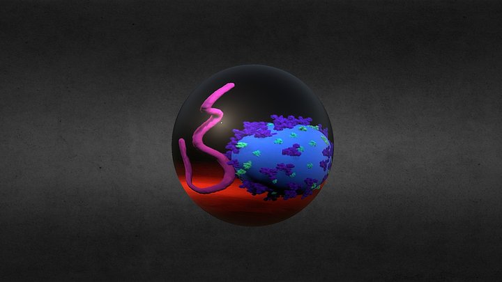 Biohacking 3D models - Sketchfab