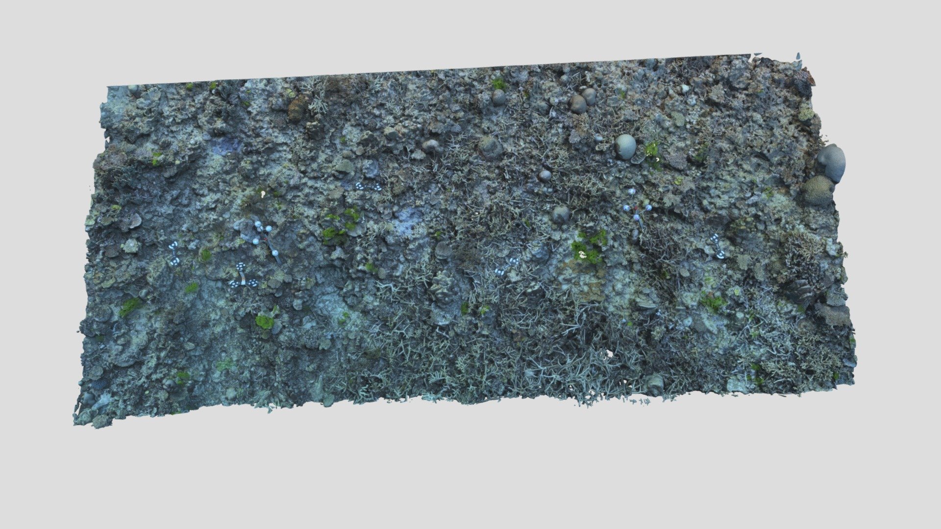 Heron_FR2S_P4_202105 - Download Free 3D model by EcoRRAP (@AIMSEcoRRAP ...