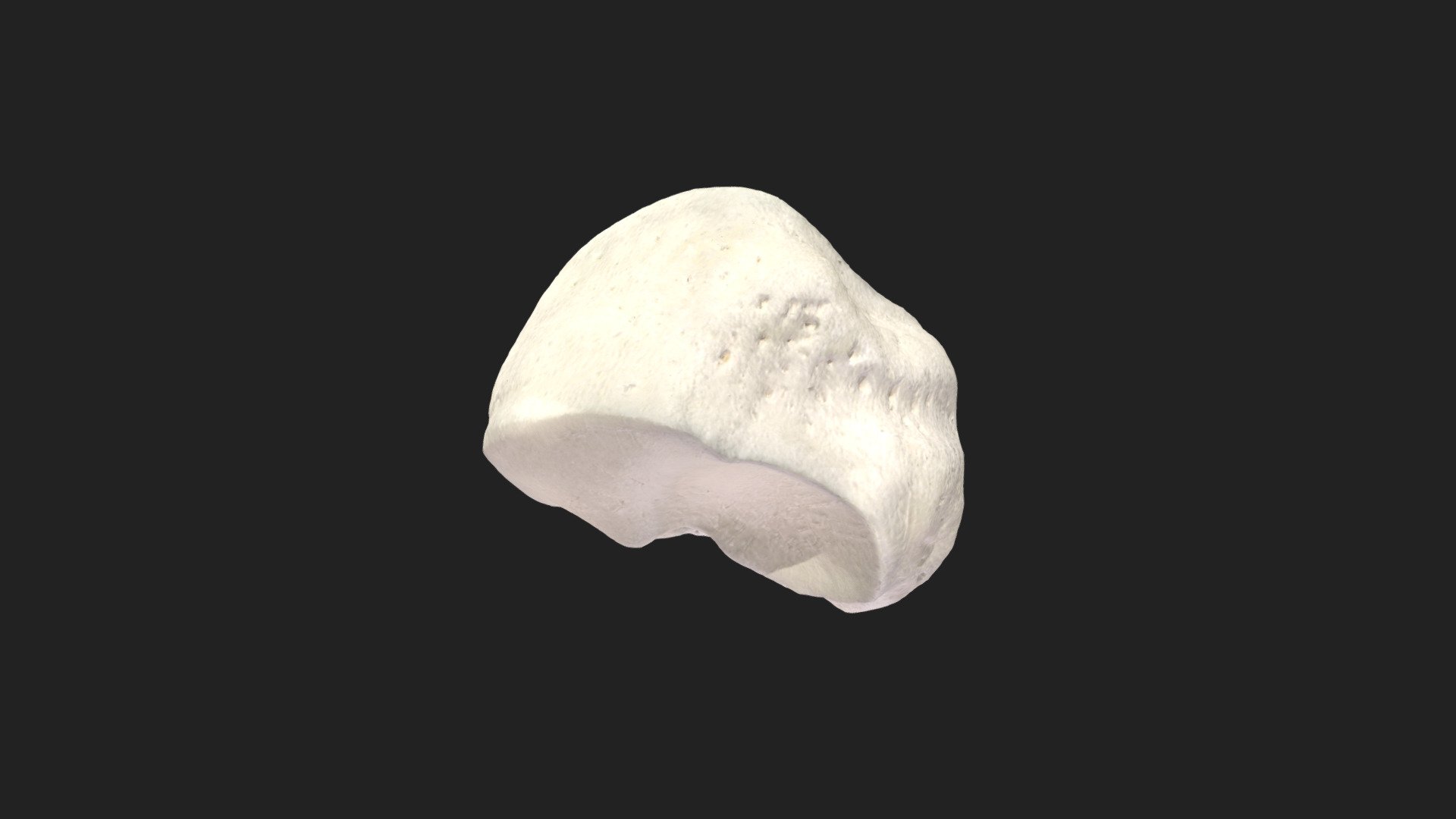 scaphoid bone (os carpi radiale) donkey - 3D model by vetanatMunich ...