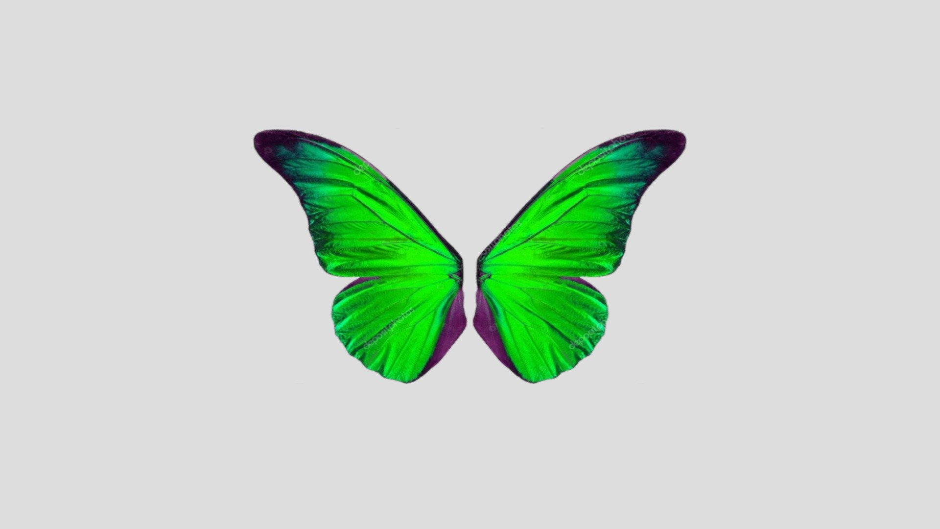 Butterfly wings - Download Free 3D model by Cybertron B-127 (@robo ...