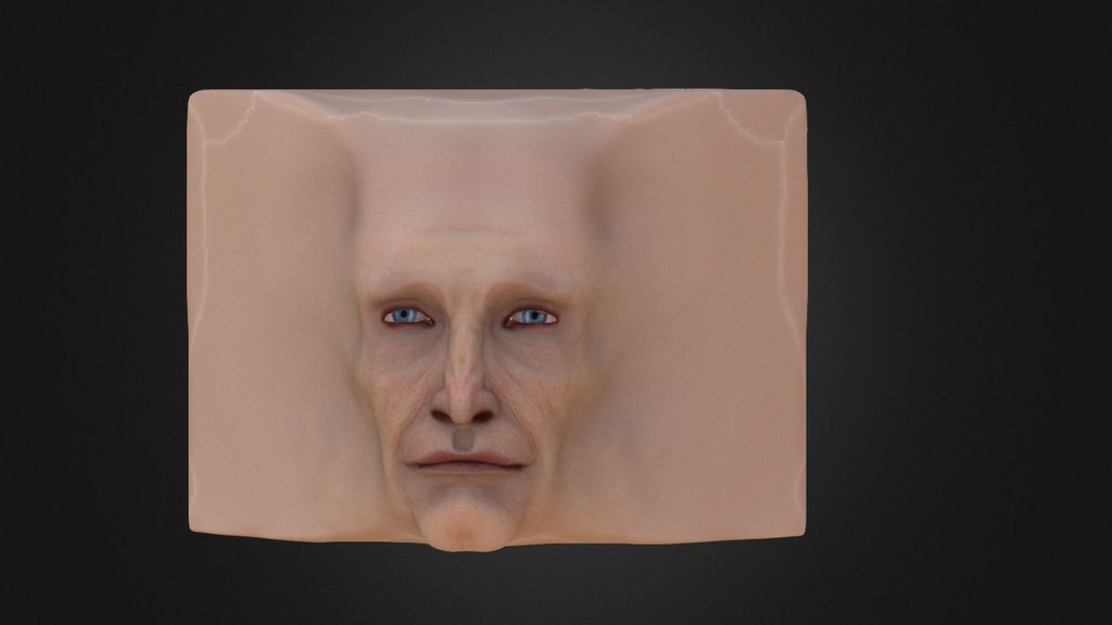 Head in the box - 3D model by honky (@smartinius) [b3c99df] - Sketchfab