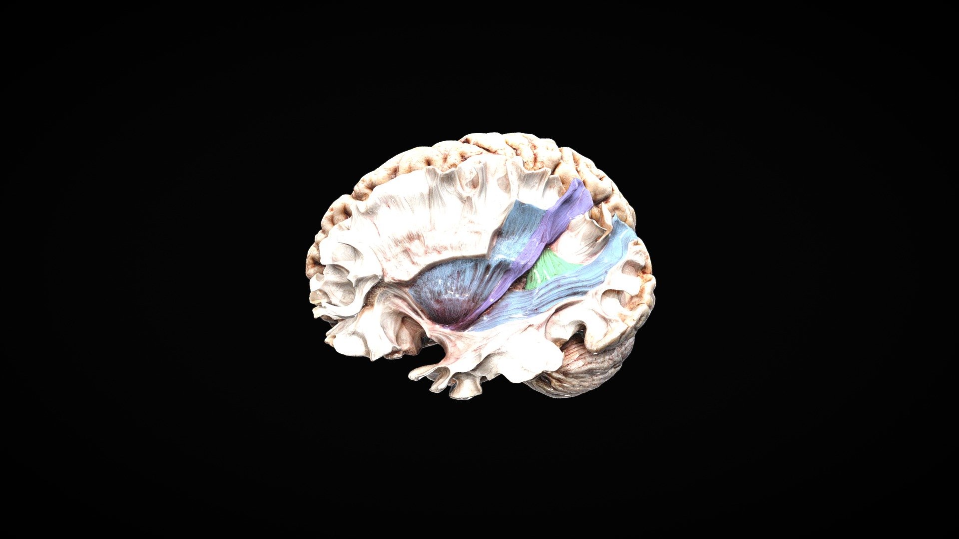 ICEC - 3D model by vv (@verav) [b3cd570] - Sketchfab