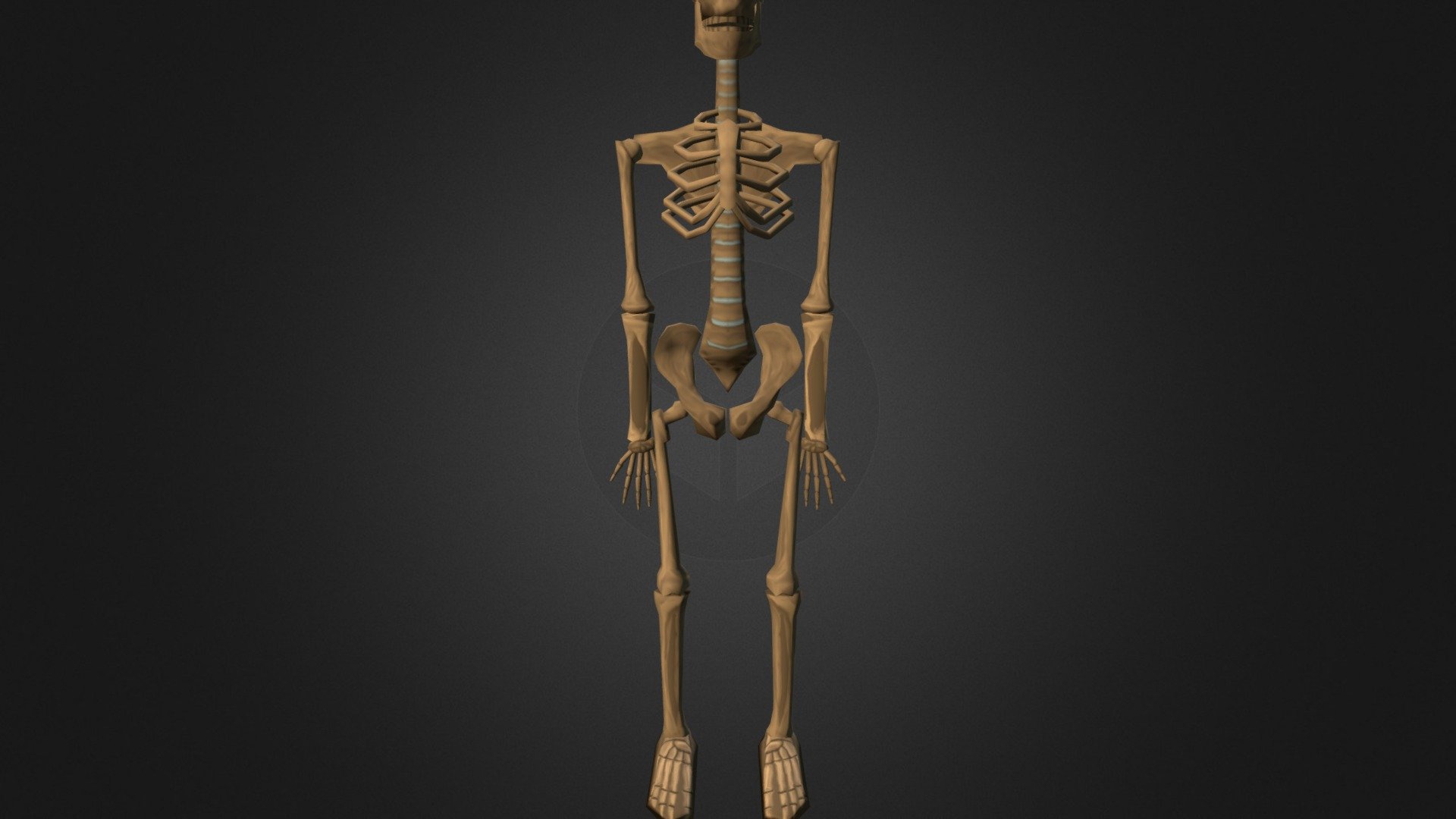 Low Poly Skeleton - 3D model by JasperG-Design [b3d6b50] - Sketchfab