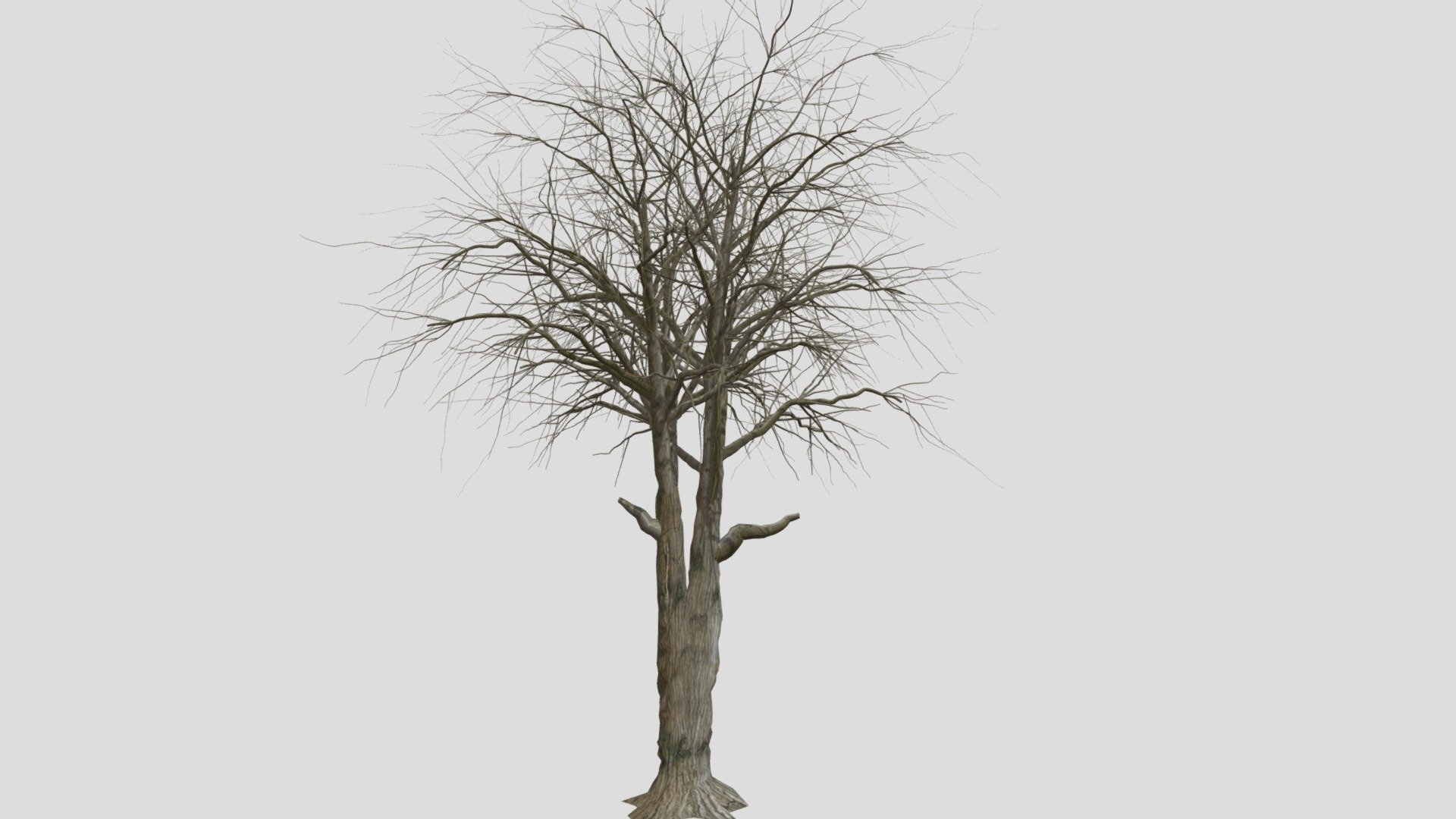 No leaf tree - Download Free 3D model by charles.cla [b3d910e] - Sketchfab