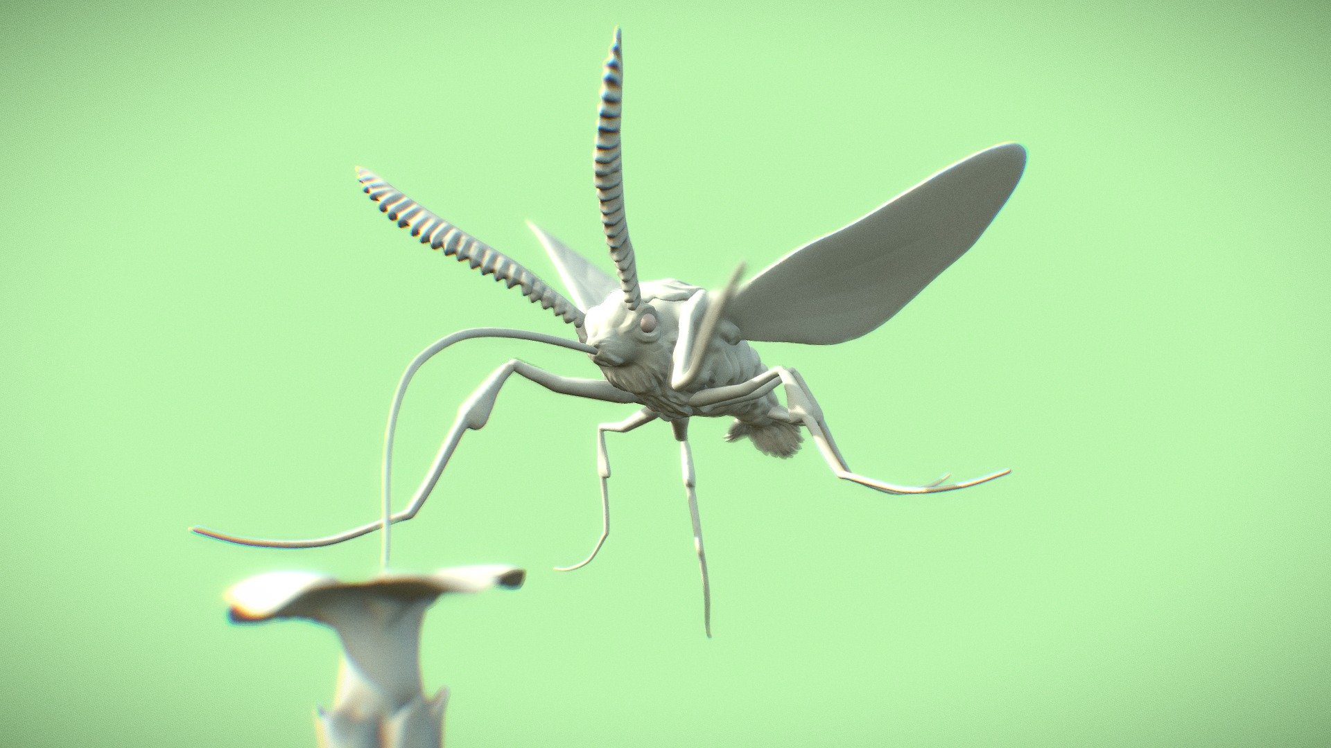 Hummingbird Hawk-Moth - Download Free 3D model by Tom Johnson (@Brigyon ...