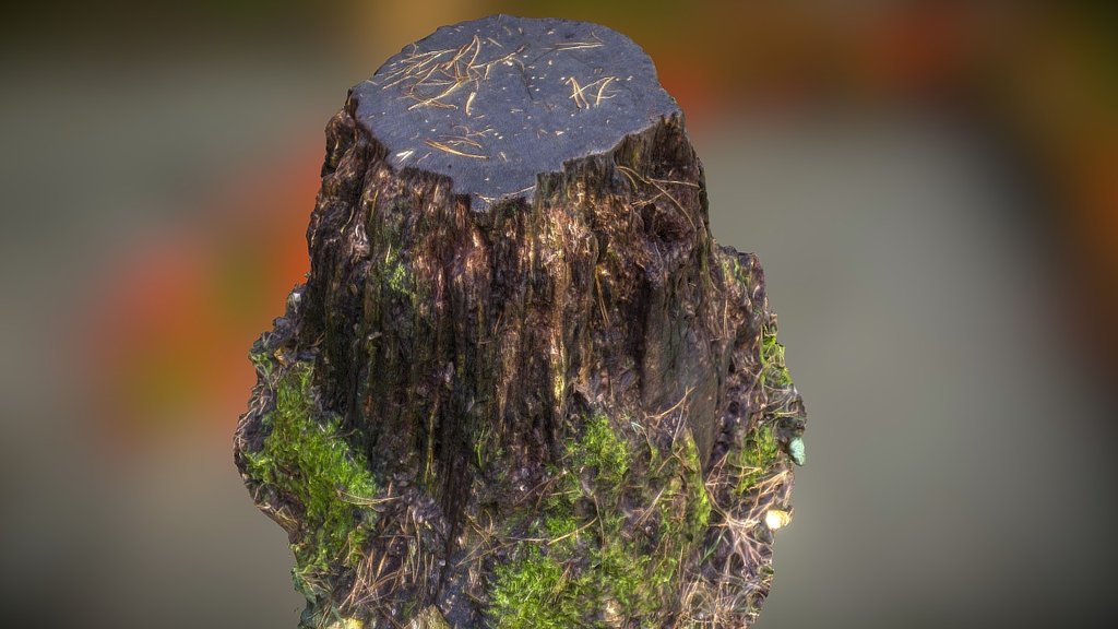 Tree Stump Dark - 3D model by Bex (@bexfx) [b3da543] - Sketchfab