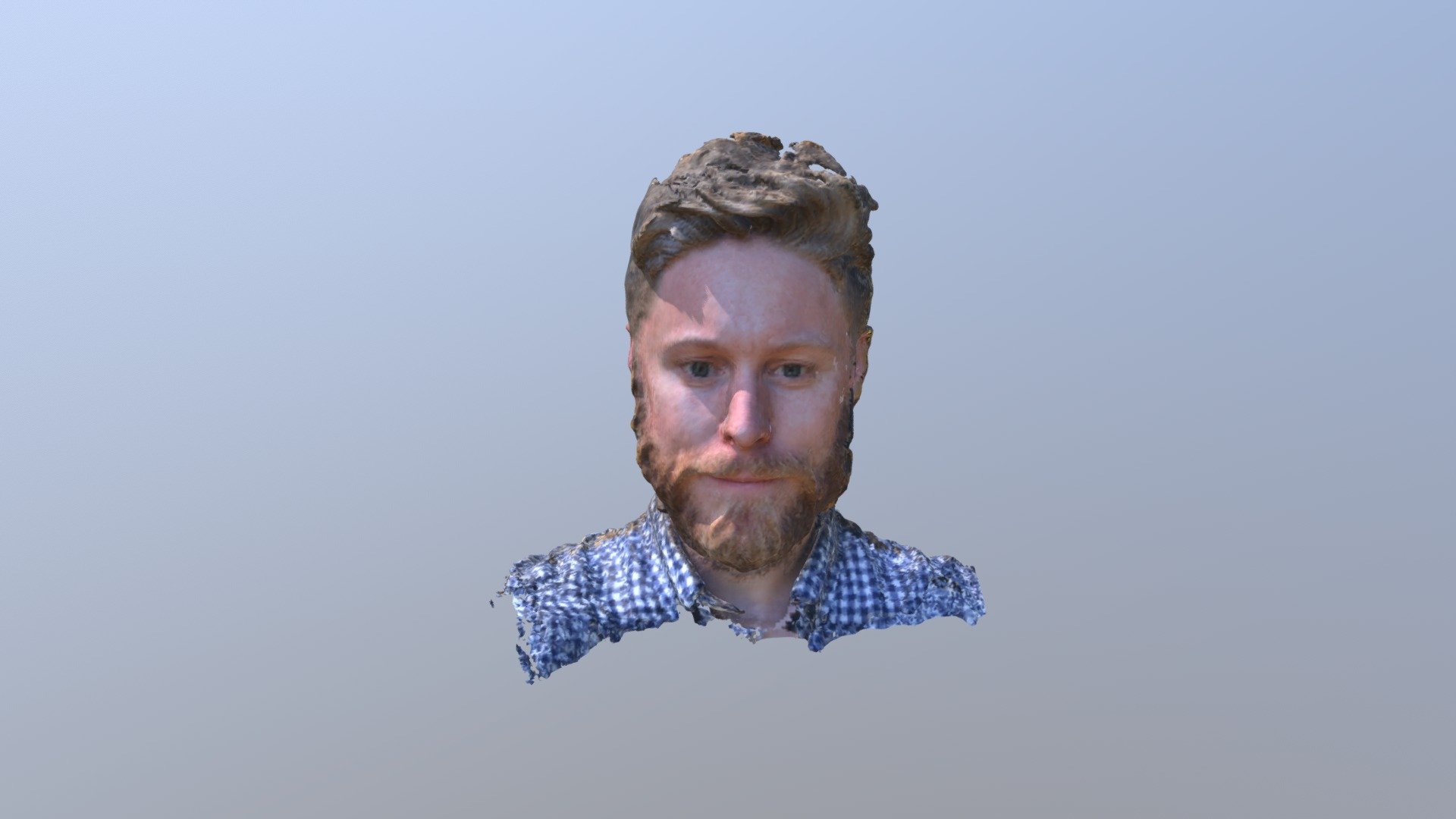 Scan of my face - Download Free 3D model by Evanstainsby [b3e09e9 ...