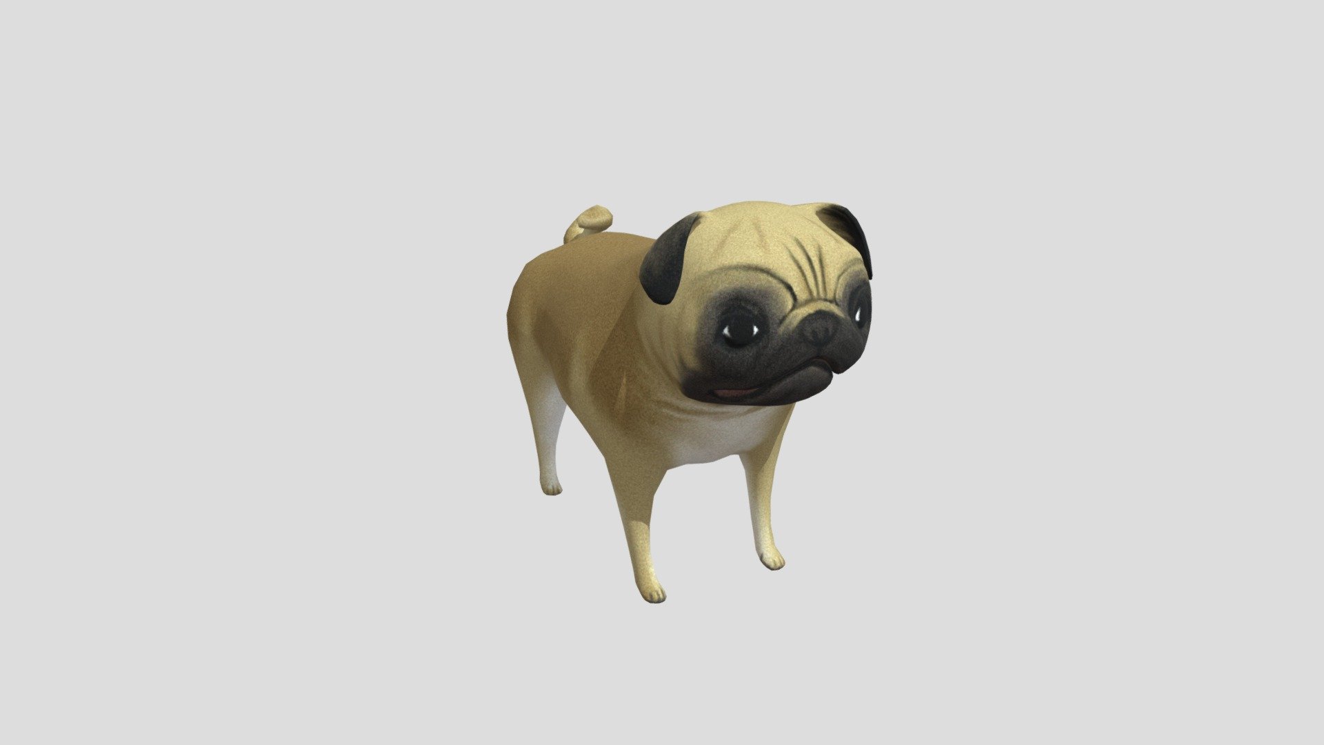 Pug - Download Free 3D model by HotDog2222 [b3e28c4] - Sketchfab