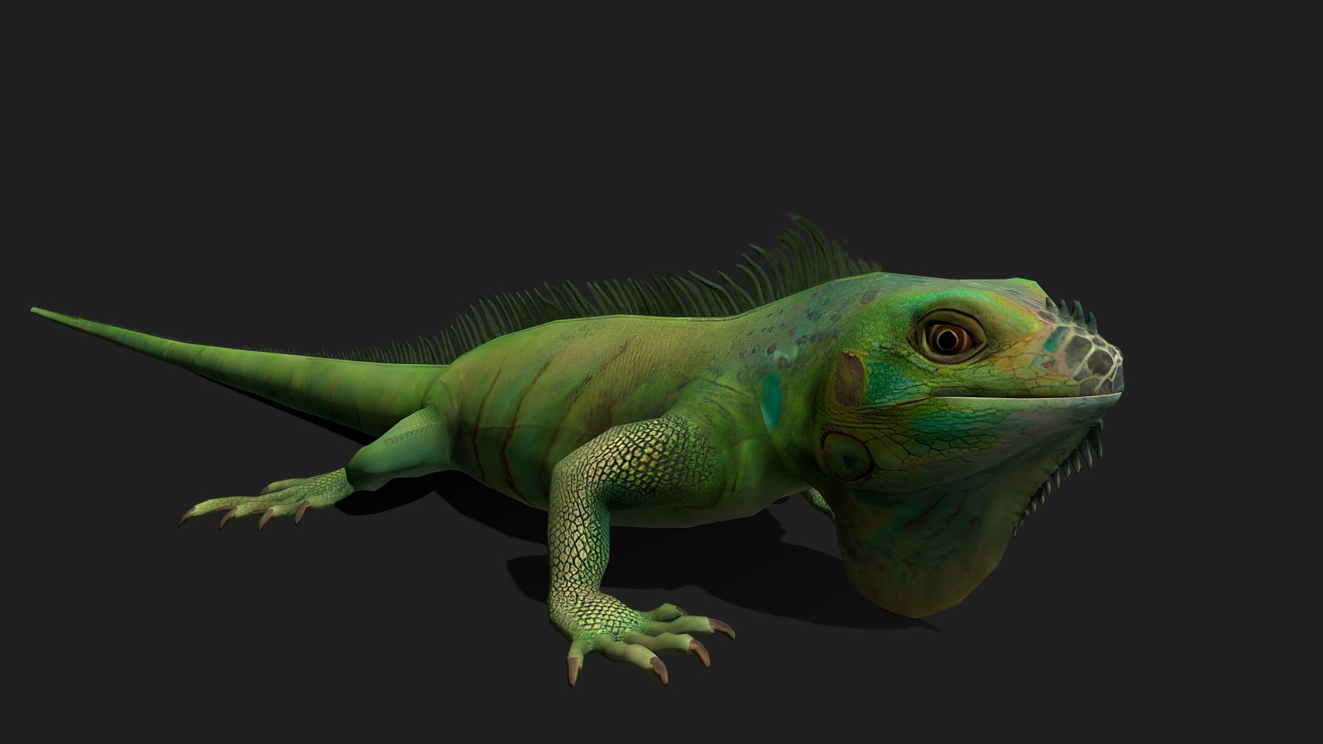Realistic Iguana 3D Model - Download Free 3D model by WildMesh 3D ...