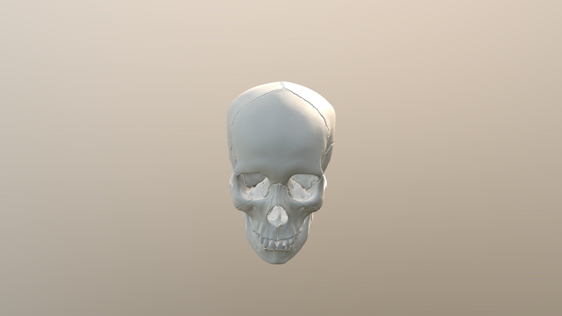 RotateSkull - 3D model by ddiazar [b3f7514] - Sketchfab
