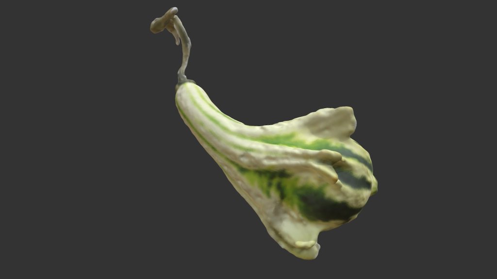 Cucurbita pepo Coloquinte - 3D model by BernardG49 [b3fafeb] - Sketchfab