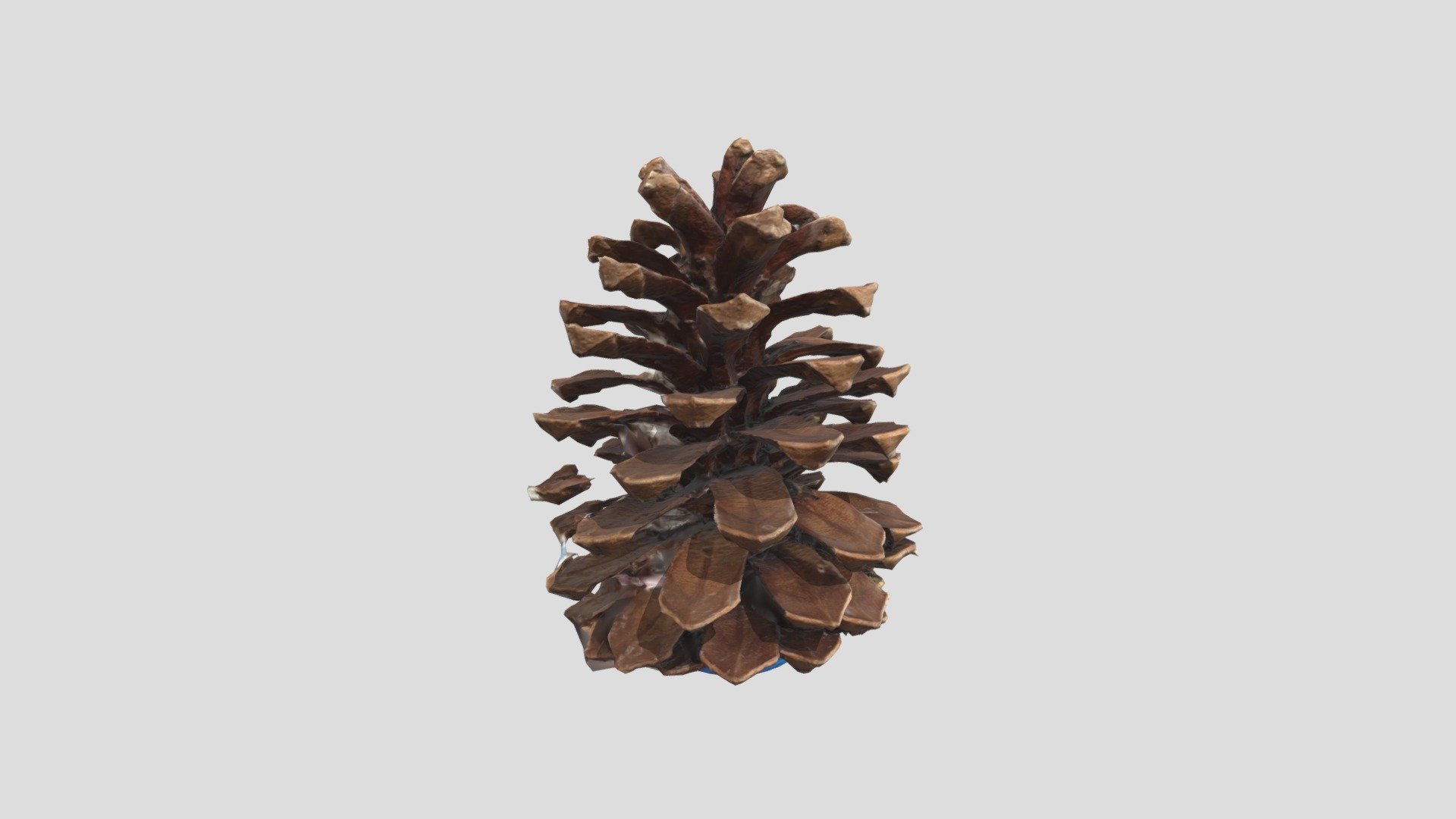 Kongle-01 RealityScan - 3D model by Tore Lysebo (@torelysebo) [b4066e3 ...
