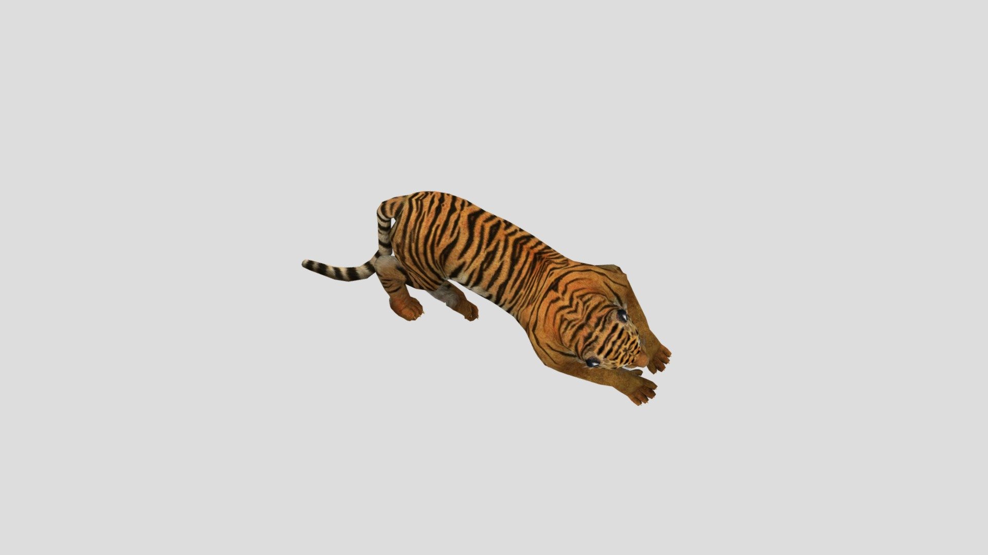 tiger-attack-eat-v01 - 3D model by prof.burgio [b40d106] - Sketchfab