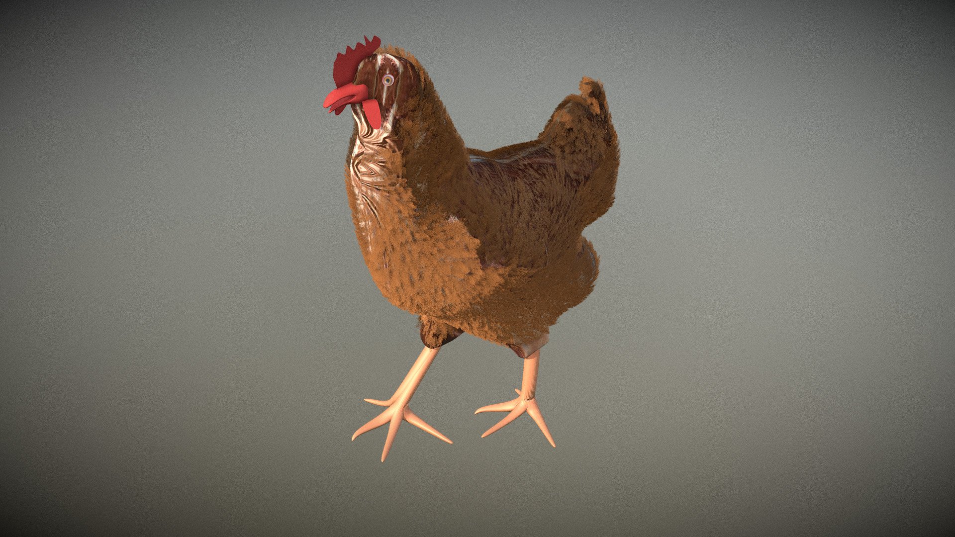 chicken - Download Free 3D model by Marcel Porsiel (@Marcemellow ...