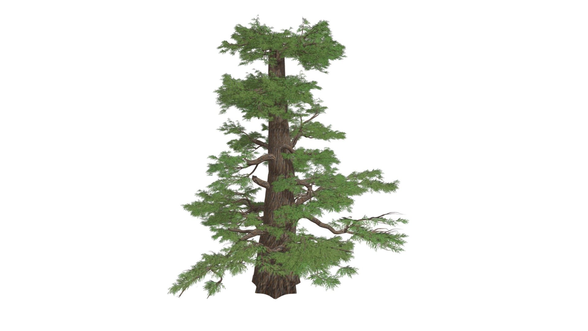 Western Juniper Tree #03 - Buy Royalty Free 3D model by meshshape ...