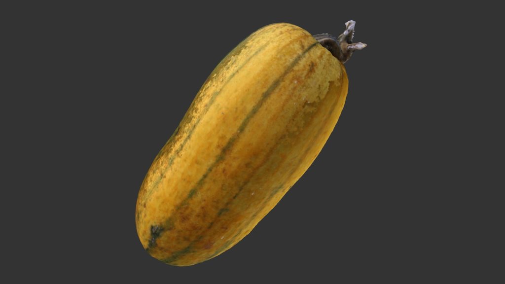 Cucurbita pepo F1 Stripetti - 3D model by BernardG49 [b421c1a] - Sketchfab